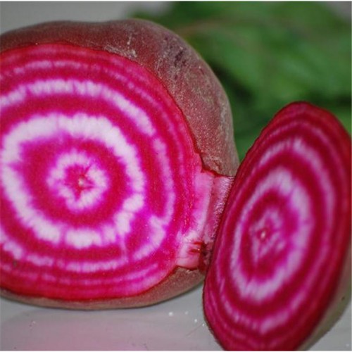 Betterave rose, blanche, rouge crue avec fanes (assortiment)